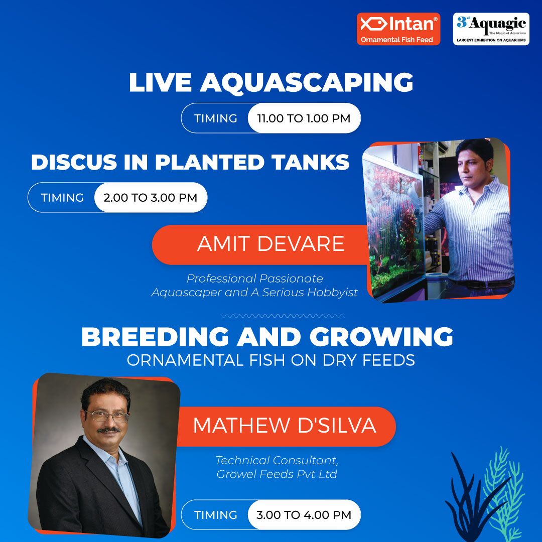 Aquagic Detail – IIPTF