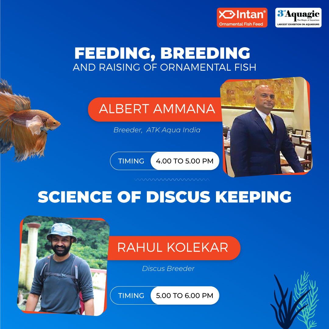 Aquagic Detail – IIPTF